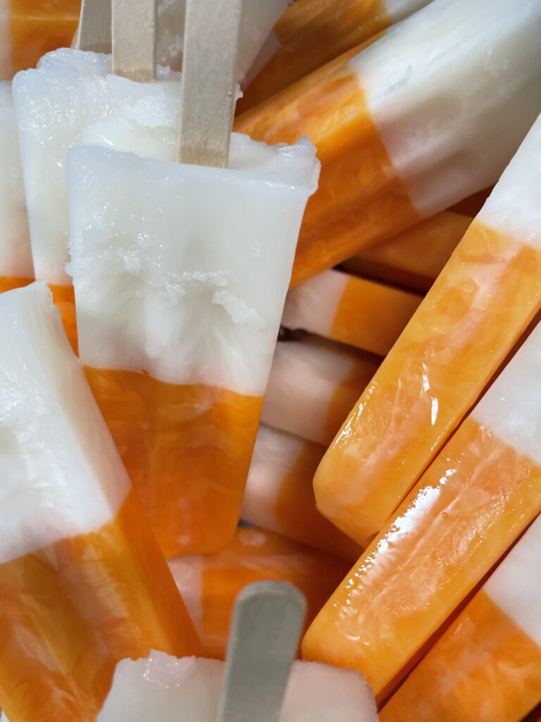 Italian Ice Brand Activations Westchester | Andy's Italian Ices NYC